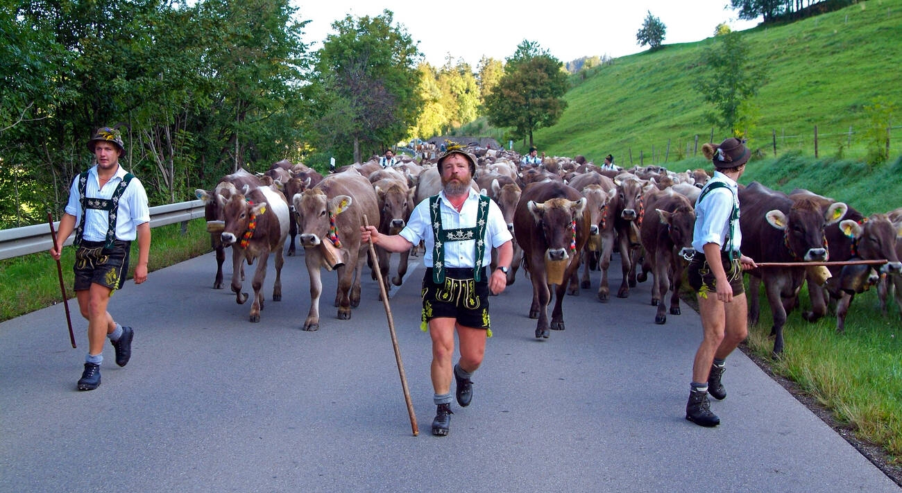 Culturally Inspired the German Tradition With Lederhosen Men