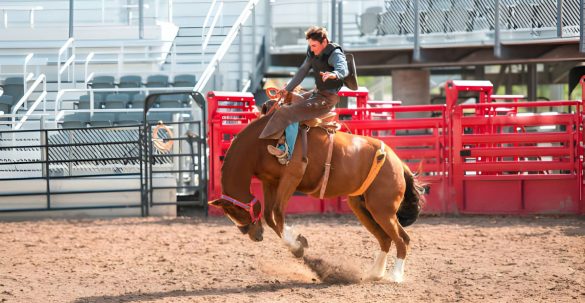 What's the Purpose of Full Leather Chaps Horse Riding?